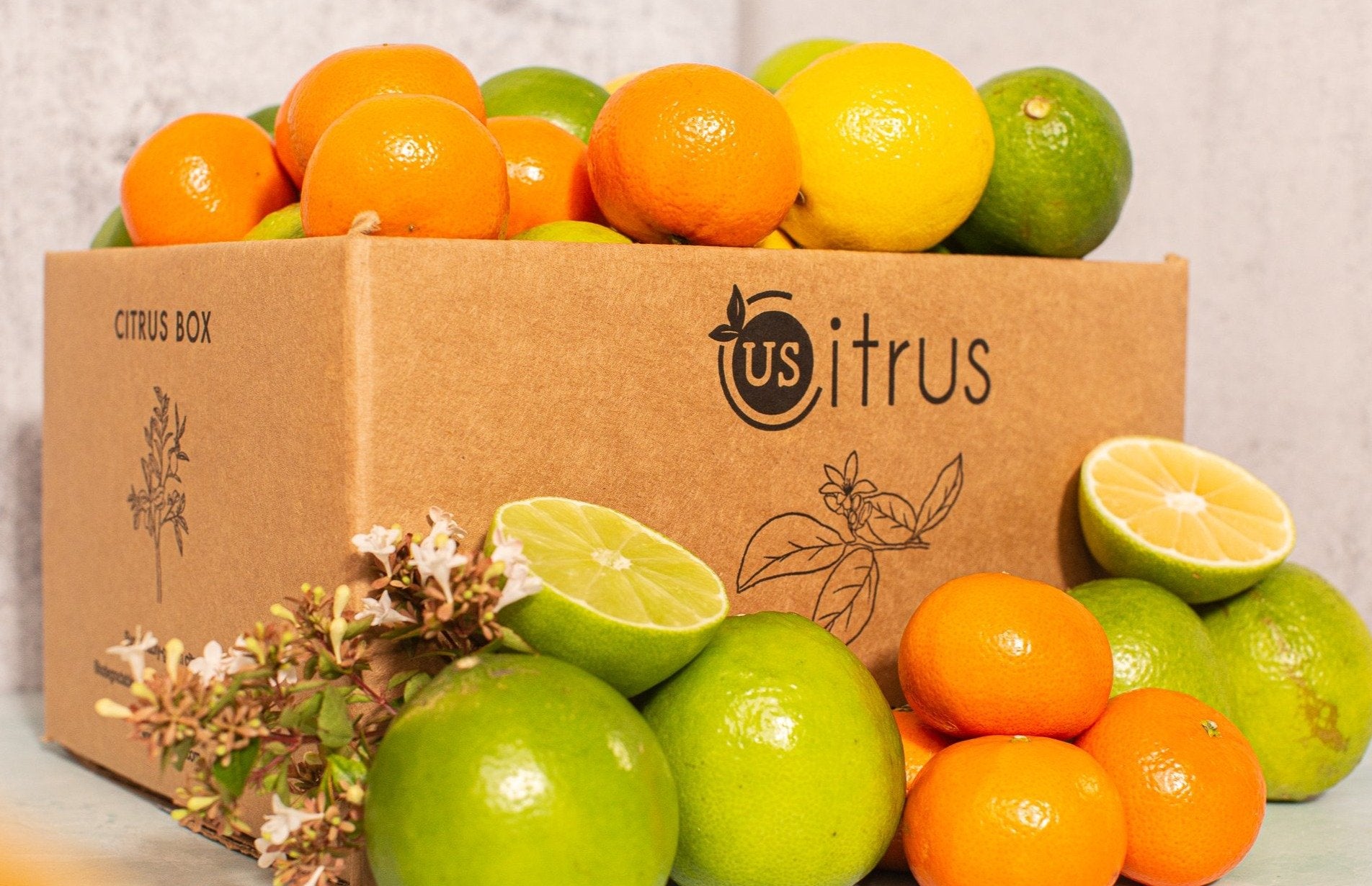 About The Craft Citrus Club - Natural Citrus Fruit Boxes – US Citrus
