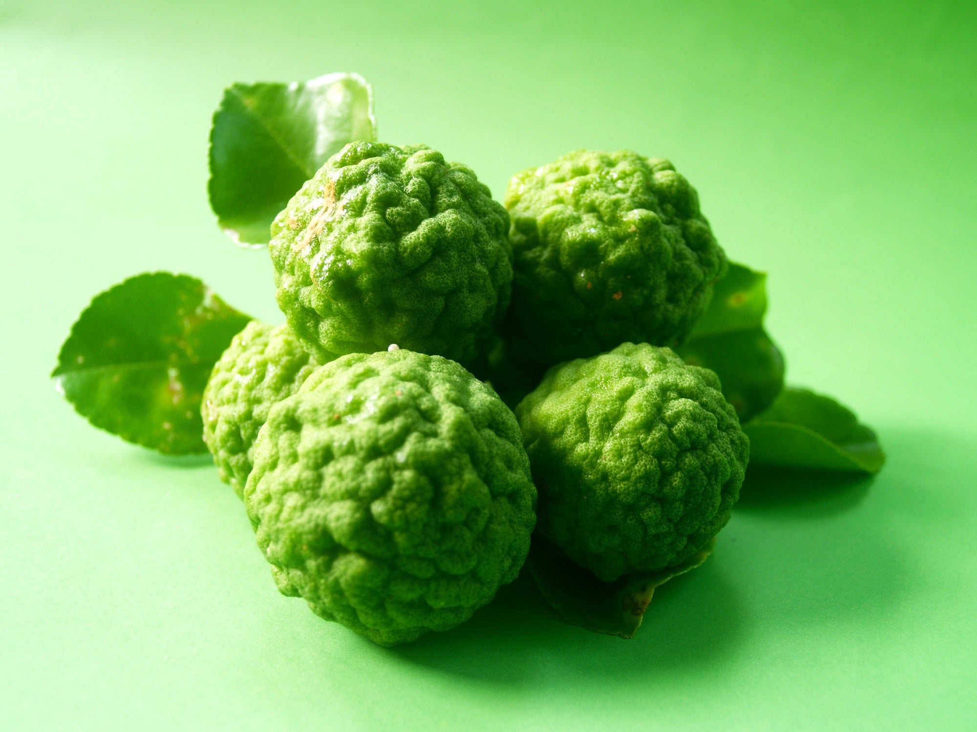 Kaffir Lime