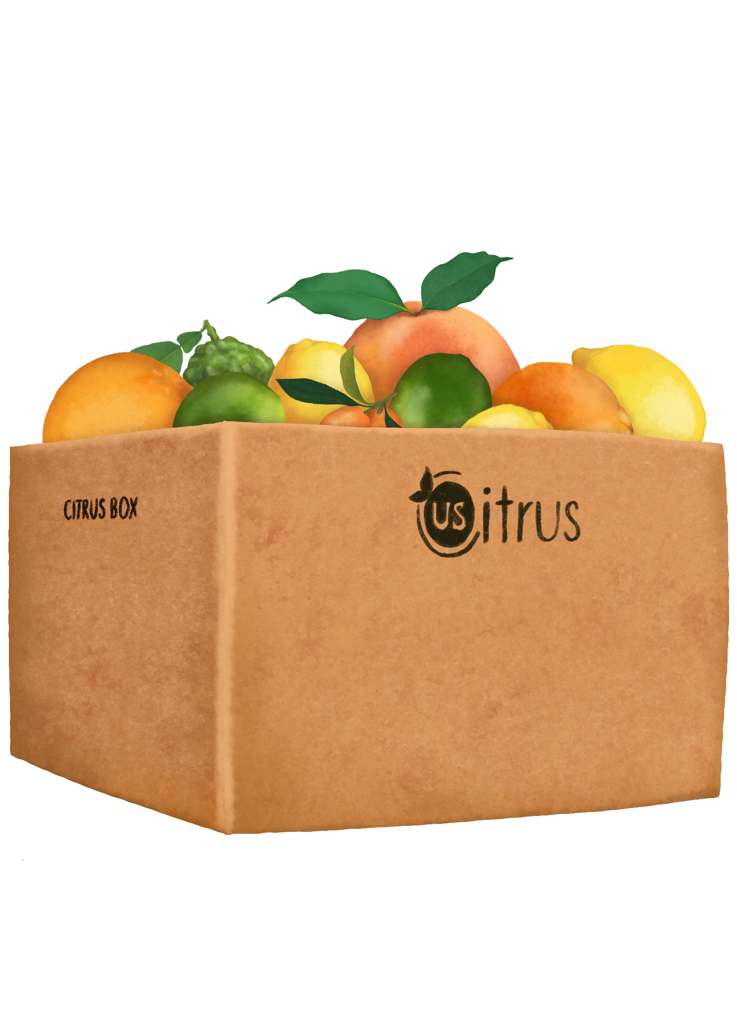 US Citrus - Fresh Citrus Fruit From Texas